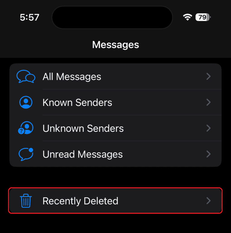 How to Retrieve Deleted Text Messages on iPhone in 5 Ways